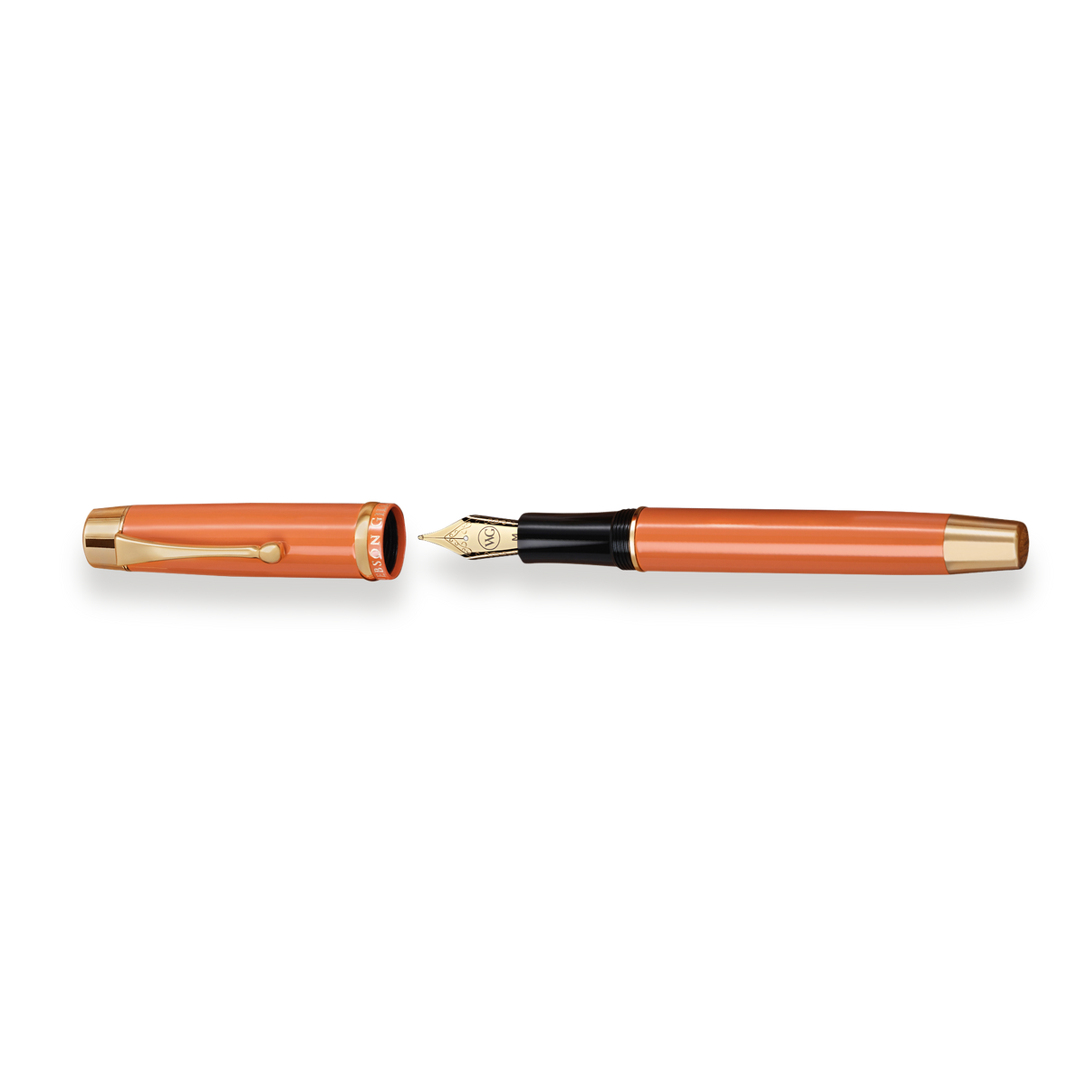 Webson Gill Muse Fountain Pen, Glossy Resin Body, Gold Plated Medium ...