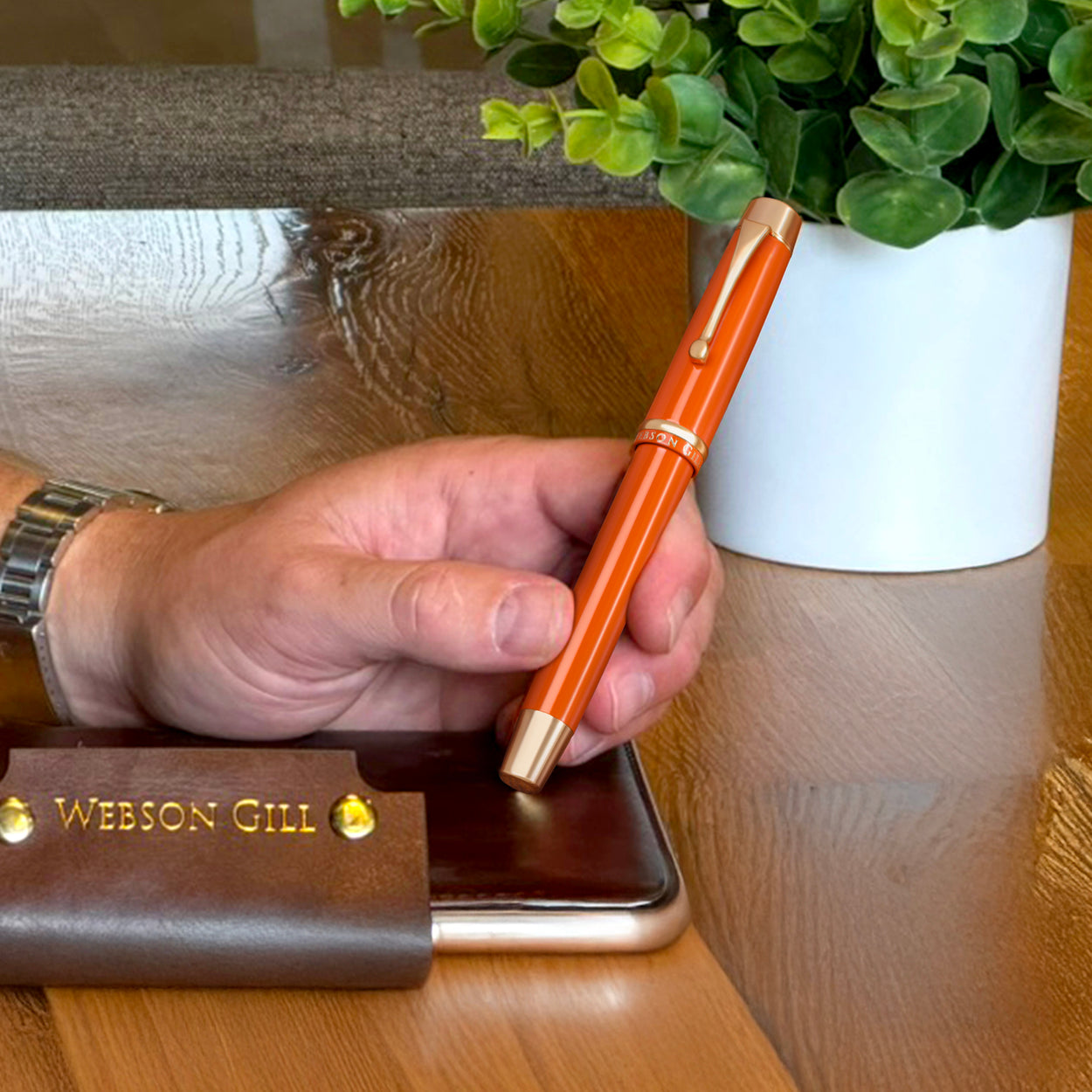 Webson Gill Muse Fountain Pen, Glossy Resin Body, Gold Plated Medium ...